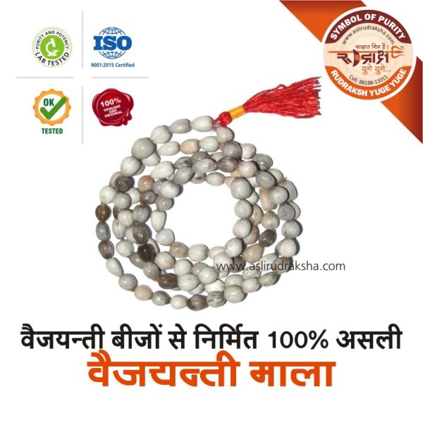 Vaijanti Mala - Asli Rudraksha